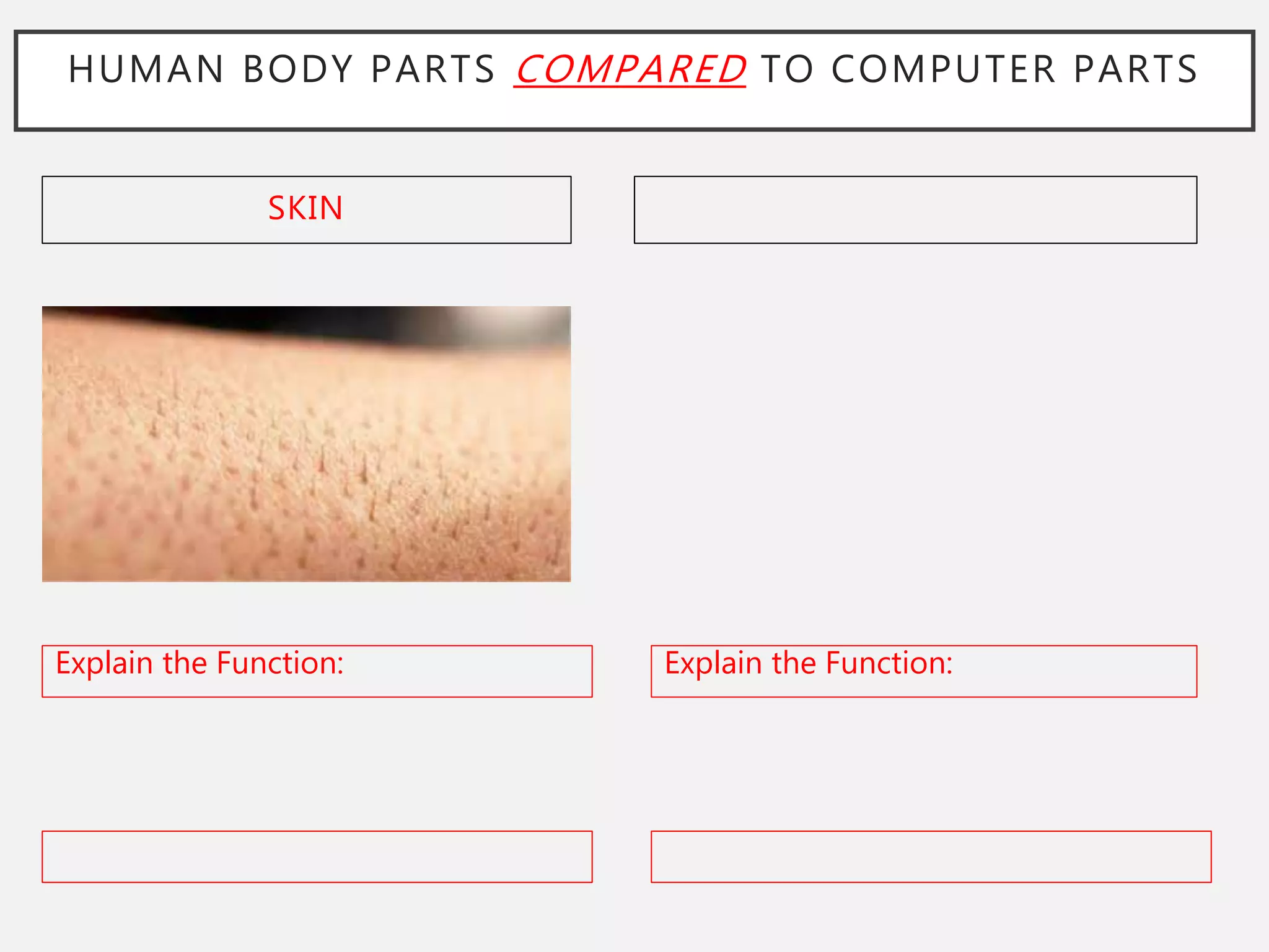 CIS Project - Computer Parts vs. Human Body Parts PowerPoint.pptx