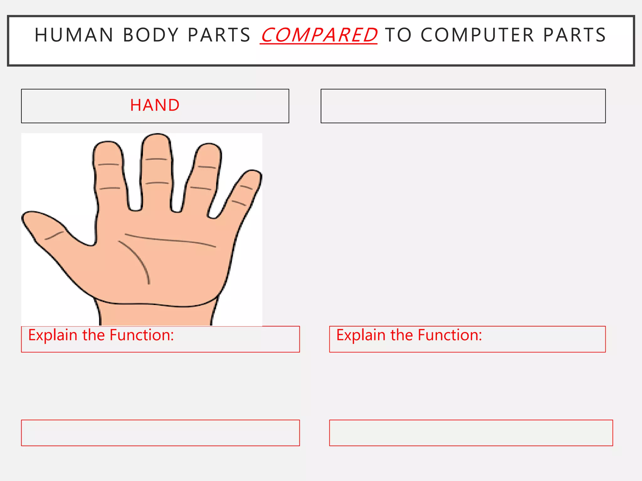 CIS Project - Computer Parts vs. Human Body Parts PowerPoint.pptx