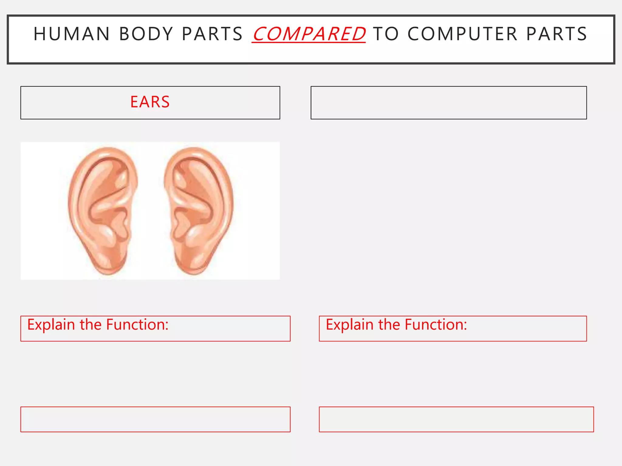 CIS Project - Computer Parts vs. Human Body Parts PowerPoint.pptx