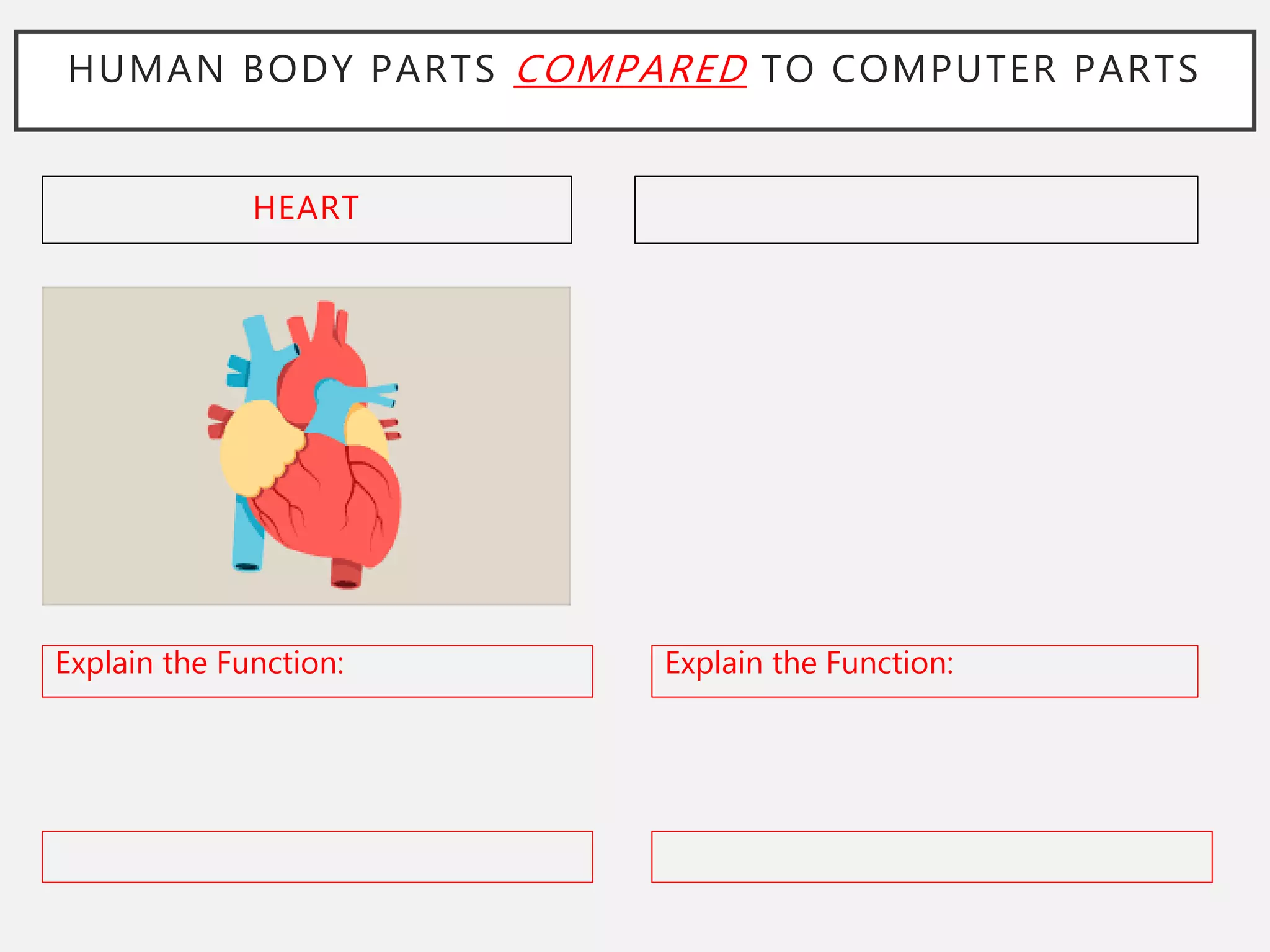 CIS Project - Computer Parts vs. Human Body Parts PowerPoint.pptx