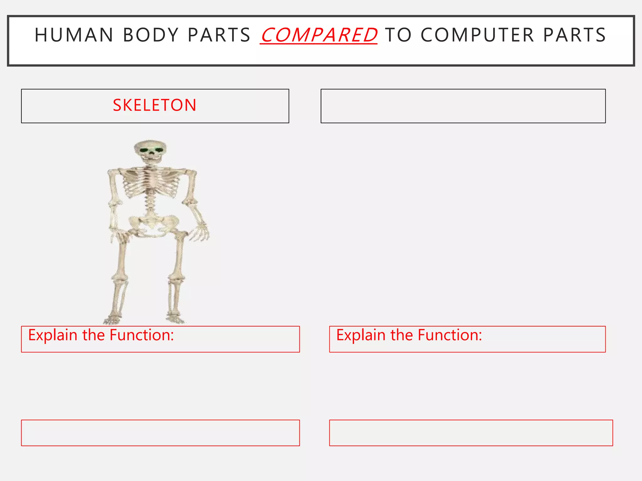 CIS Project - Computer Parts vs. Human Body Parts PowerPoint.pptx