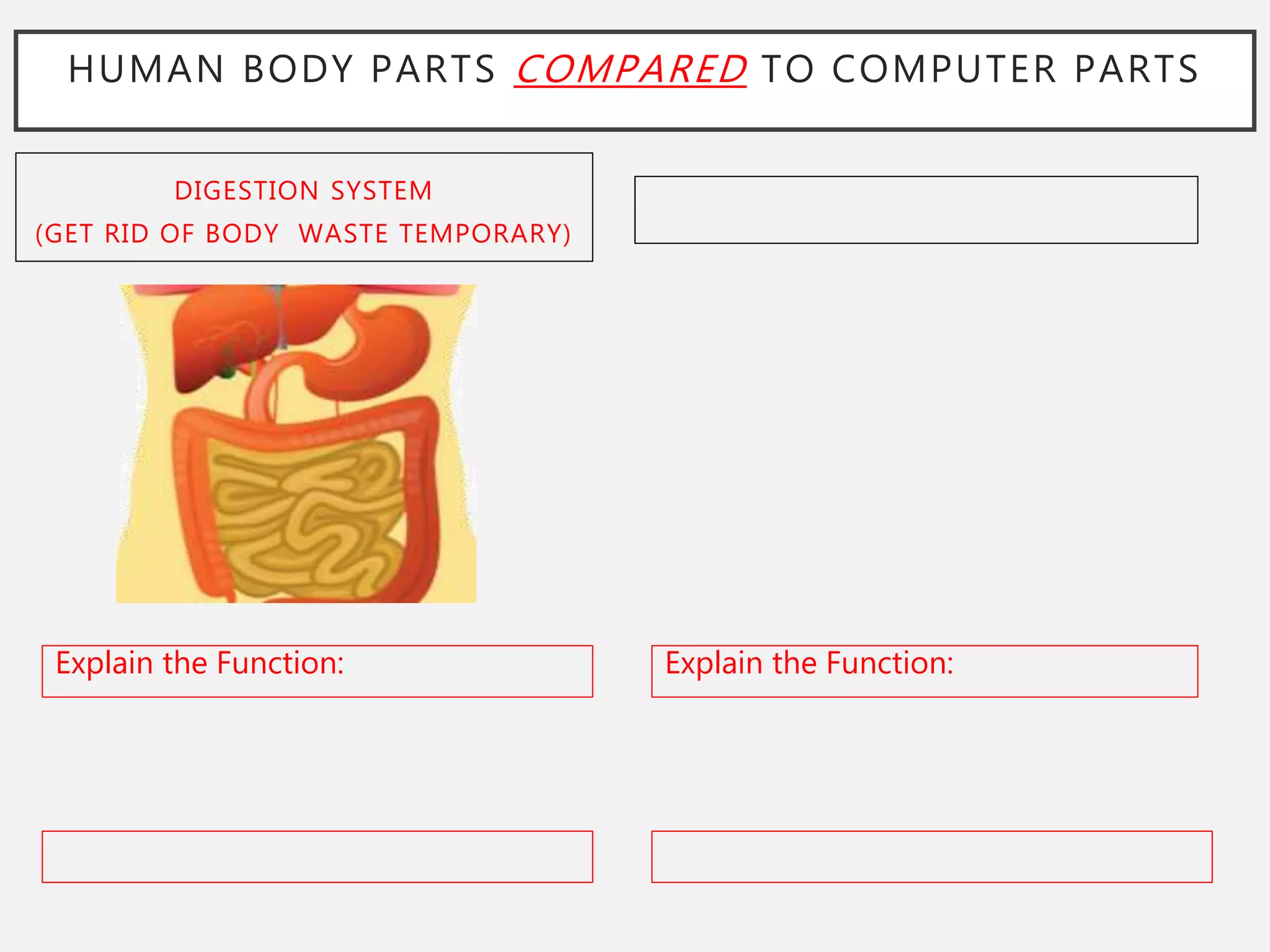 CIS Project - Computer Parts vs. Human Body Parts PowerPoint.pptx ...