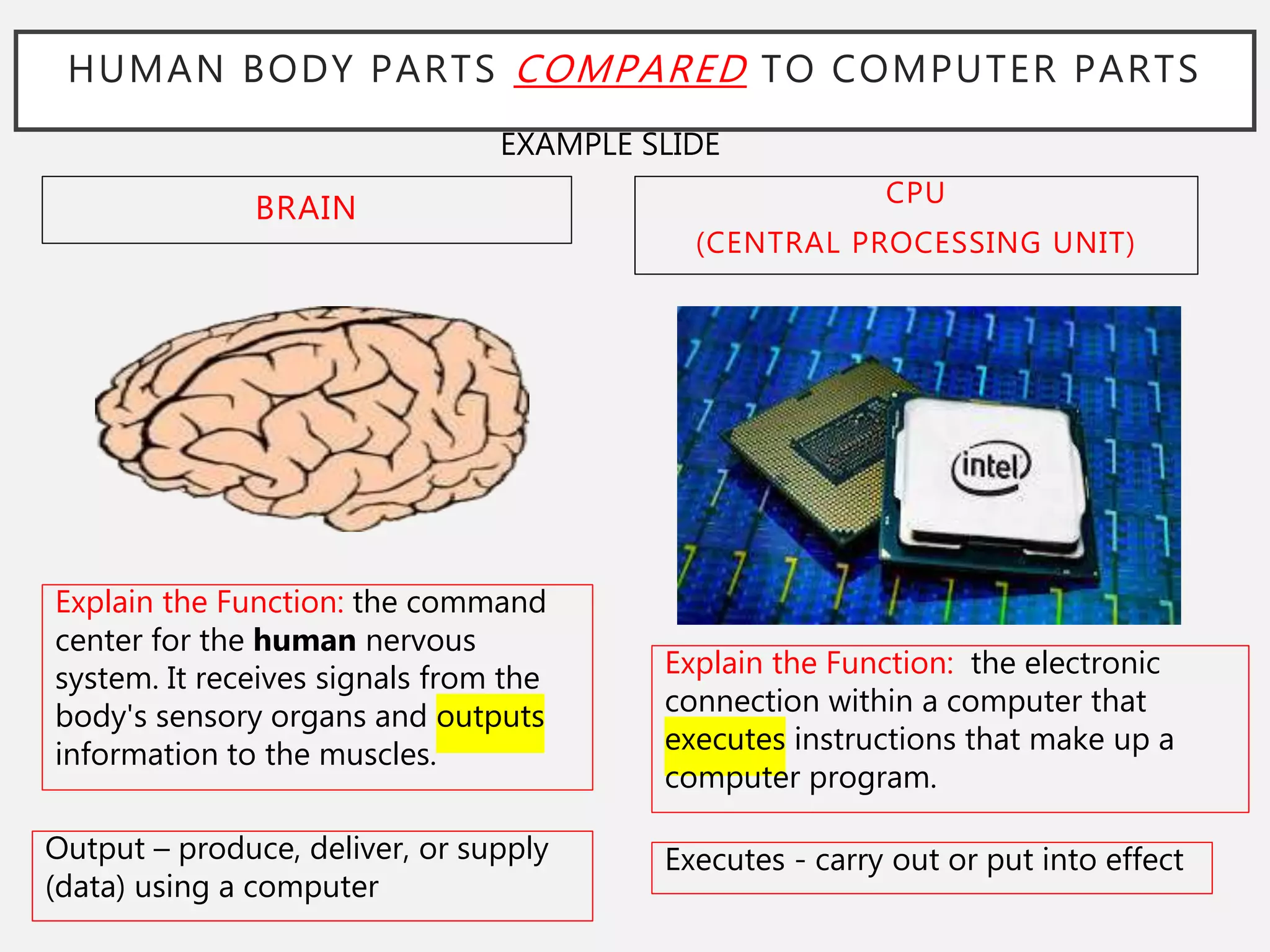 CIS Project - Computer Parts vs. Human Body Parts PowerPoint.pptx