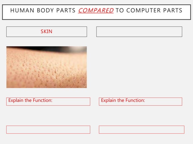 CIS Project - Computer Parts vs. Human Body Parts PowerPoint.pptx ...