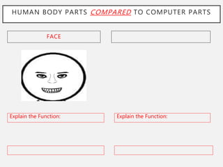 CIS Project - Computer Parts vs. Human Body Parts PowerPoint.pptx ...
