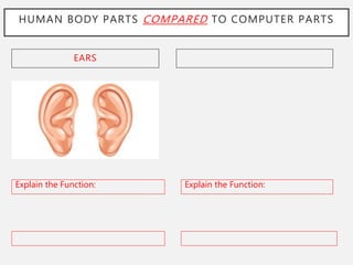 CIS Project - Computer Parts vs. Human Body Parts PowerPoint.pptx ...
