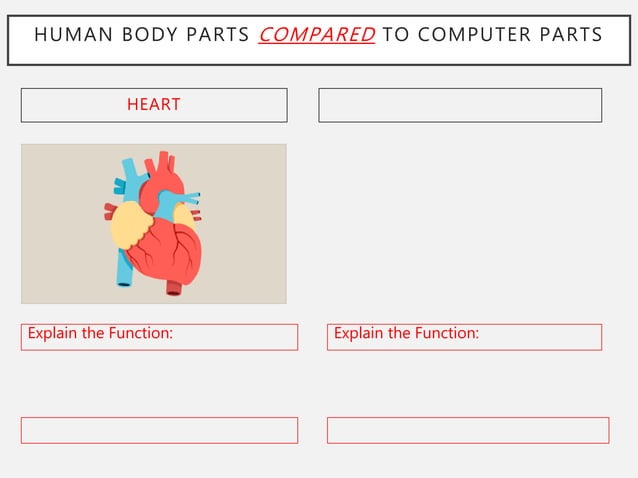CIS Project - Computer Parts vs. Human Body Parts PowerPoint.pptx ...