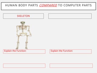 CIS Project - Computer Parts vs. Human Body Parts PowerPoint.pptx ...