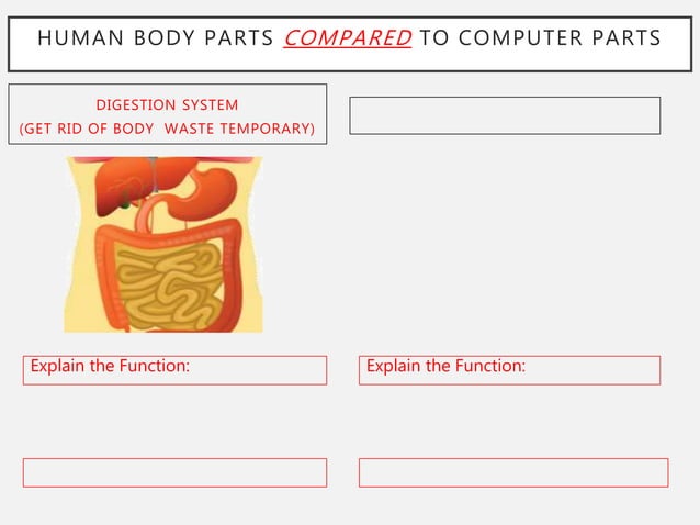 CIS Project - Computer Parts vs. Human Body Parts PowerPoint.pptx ...