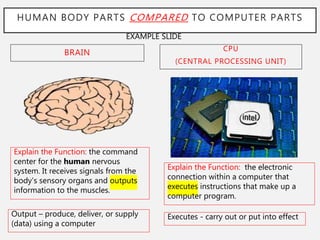 CIS Project - Computer Parts vs. Human Body Parts PowerPoint.pptx ...