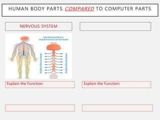 CIS Project - Computer Parts vs. Human Body Parts PowerPoint.pptx ...