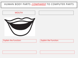 CIS Project - Computer Parts vs. Human Body Parts PowerPoint.pptx ...