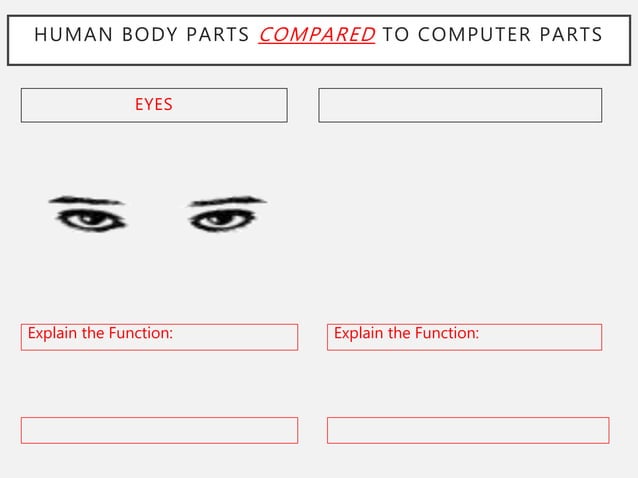 CIS Project - Computer Parts vs. Human Body Parts PowerPoint.pptx ...