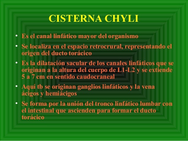 Cisterna Chyli