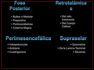 Cisternas Cerebrales | PPTX