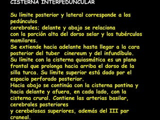Cisternas-Espacio Subaracnoideo | PPTX