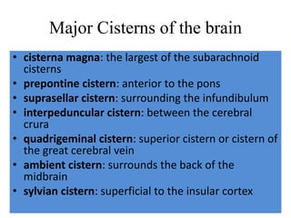 Cisternography sujan | PPTX