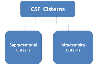 Cisterns of brain and its contents along with its classification and ...