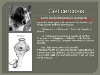 Cisticercosis | PPTX