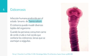 Cisticercosis. | PDF