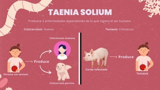 Cisticercosis en area de parasitología con tratamiento | PDF