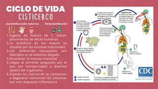 Cisticercosis en area de parasitología con tratamiento | PDF
