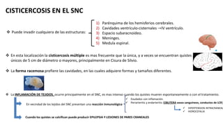 Cisticercosis humana - Parasitología medica.pdf