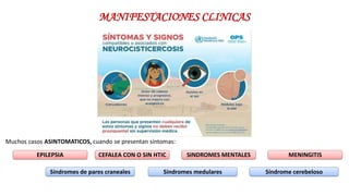 Cisticercosis humana - Parasitología medica.pdf