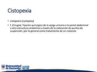 Cistopexia | PPTX