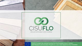 Cisuflo project presentation | PPT
