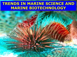 Marine Science and Marine Biotechnology | PPT