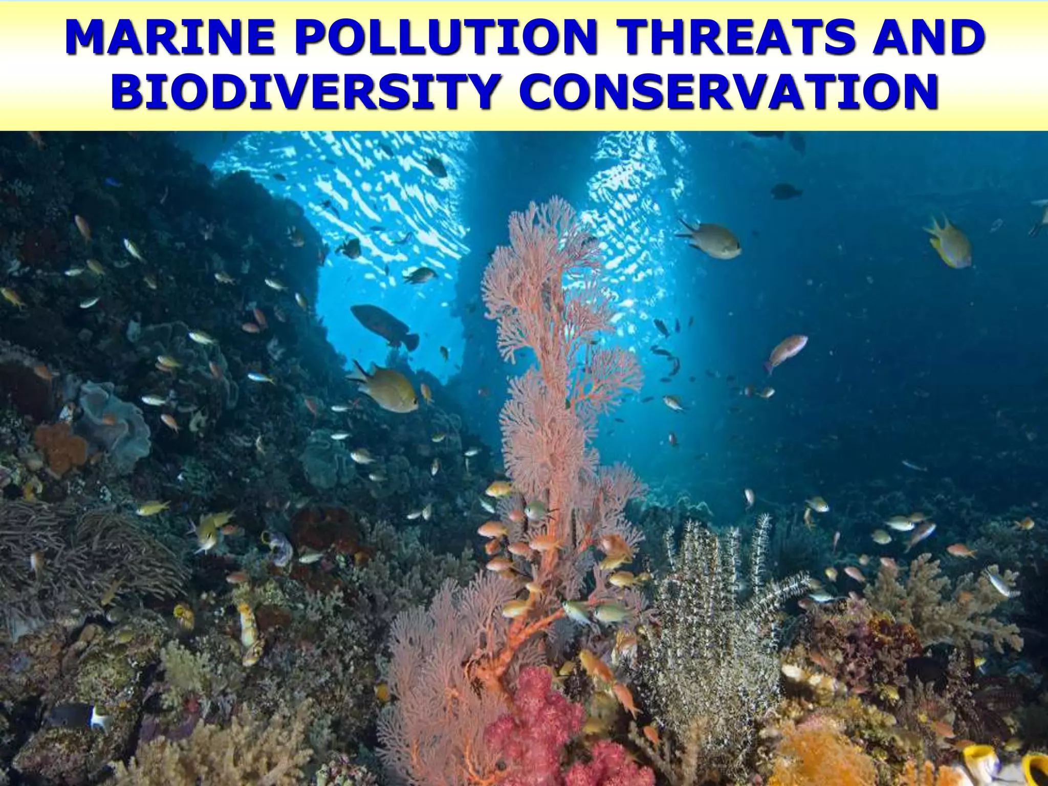 MARINE POLLUTION THREATS AND BIODIVERSITY CONSERVATION | PPT