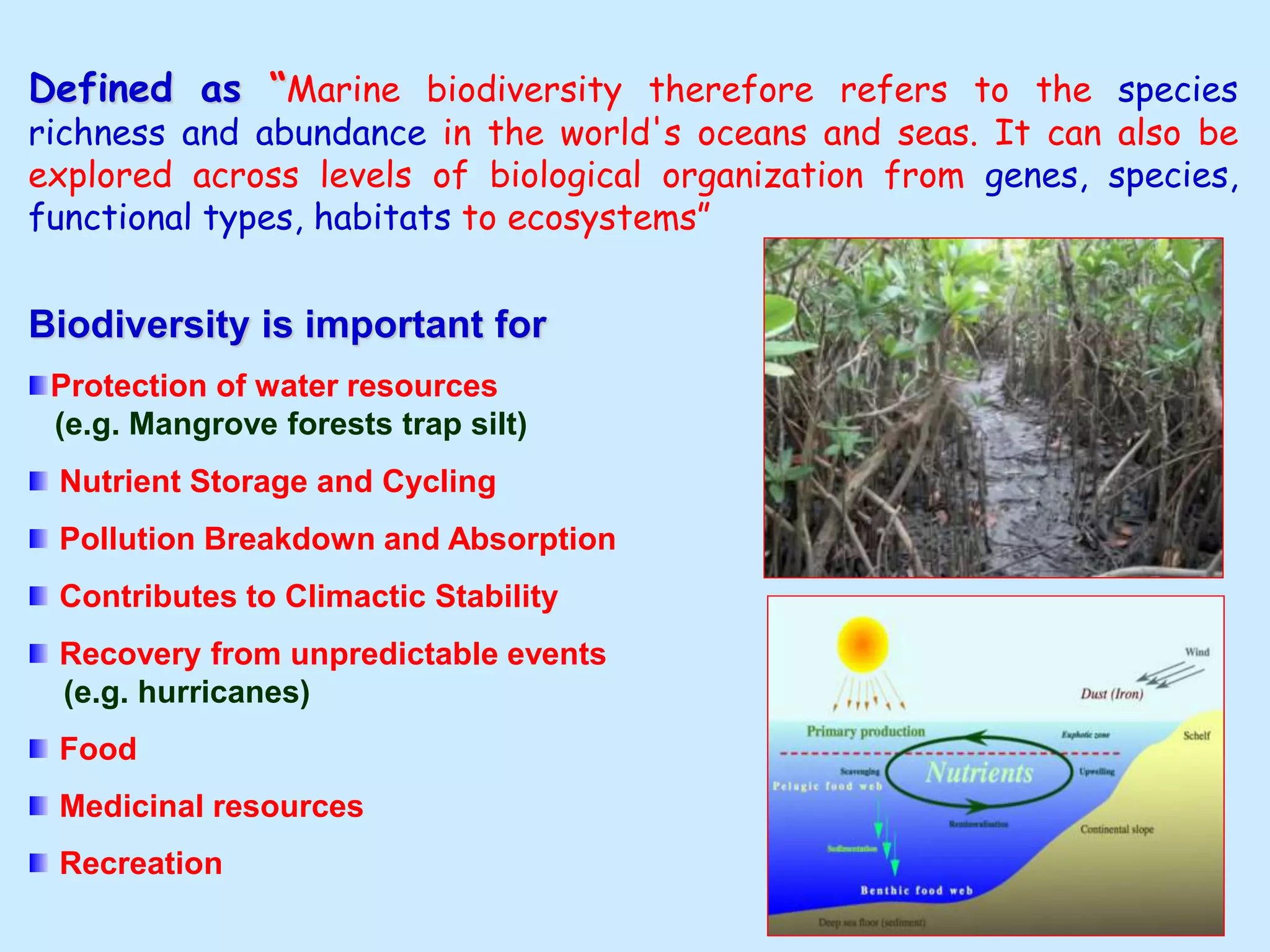 MARINE POLLUTION THREATS AND BIODIVERSITY CONSERVATION | PPT