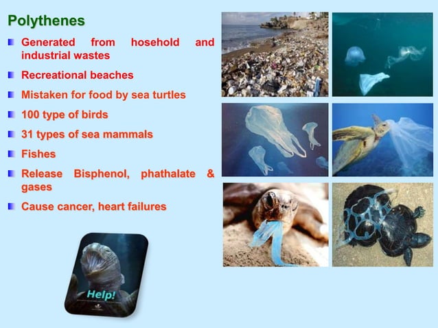 MARINE POLLUTION THREATS AND BIODIVERSITY CONSERVATION | PPT