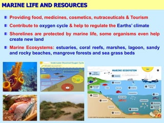 MARINE POLLUTION THREATS AND BIODIVERSITY CONSERVATION | PPT