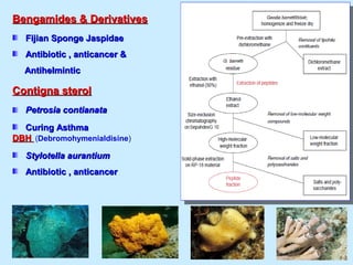 Marine Natural Products and Health | PPT