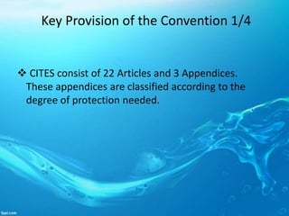 Convention on the international trade in endangered species of wild ...