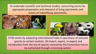 Cites | PPT