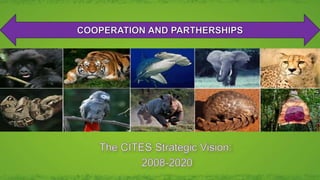 Cites | PPTX