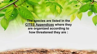 Cites a.s.l. | PPT