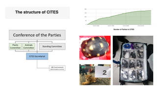 CITES and International collaboration_final.pptx