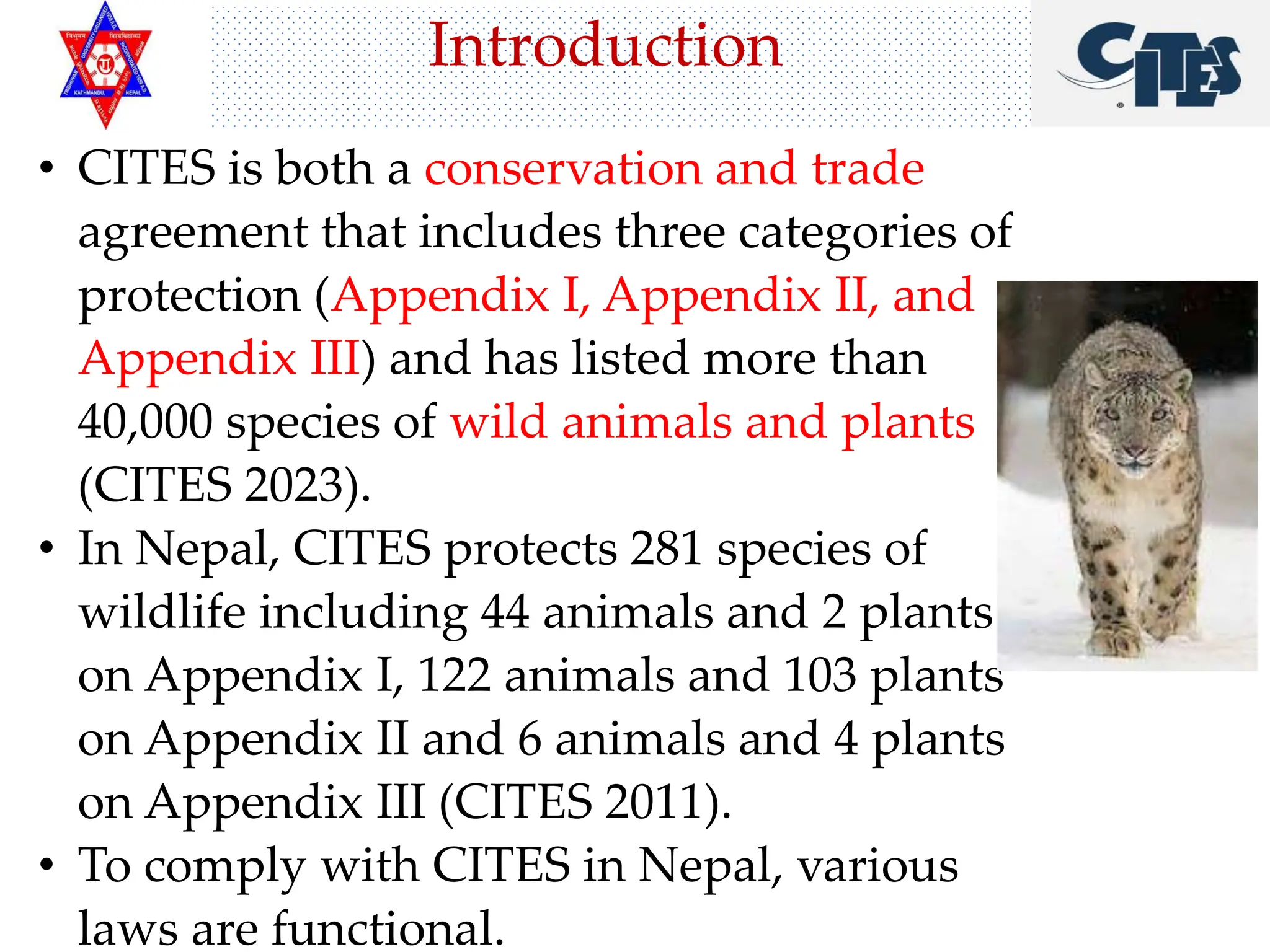 CITES implementation in Nepal........pptx