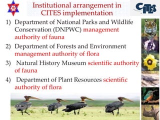 CITES implementation in Nepal........pptx