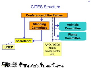 CITES_Introdfuction.ppt,................... | PPT