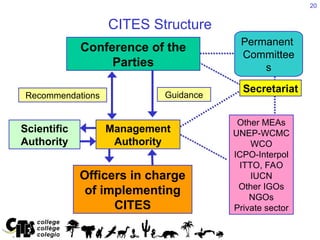 CITES_Introdfuction.ppt,................... | PPT