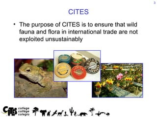 CITES_Introdfuction.ppt,................... | PPT