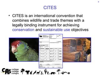 CITES_Introdfuction.ppt,................... | PPT