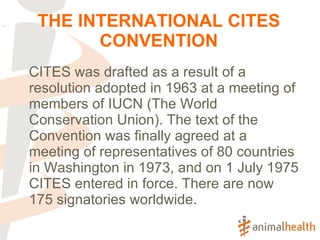 CITES made simple | PPT