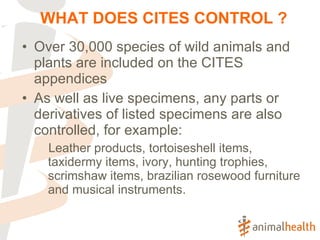 CITES made simple | PPT
