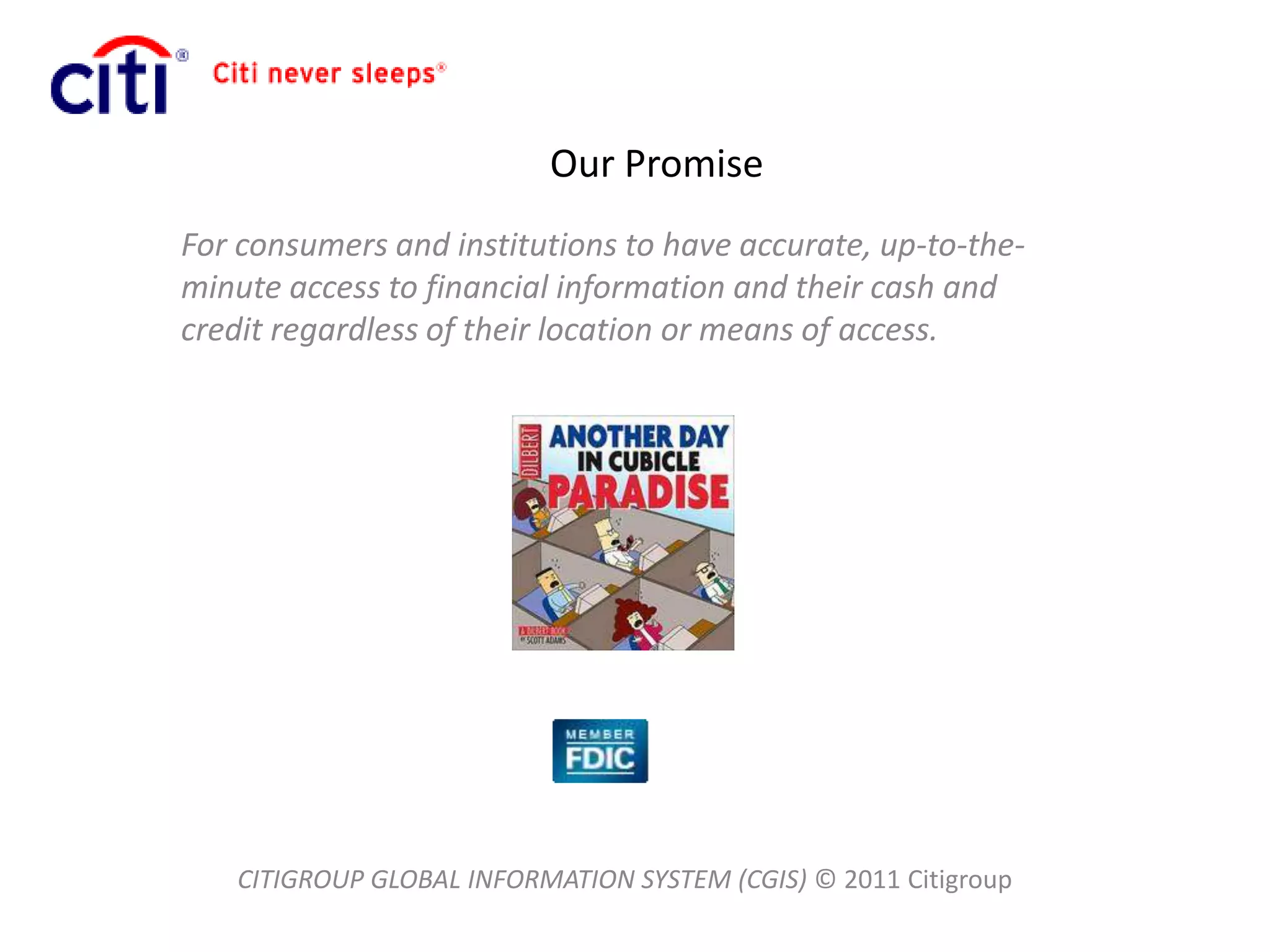 Citicorp Presentation | PPTX